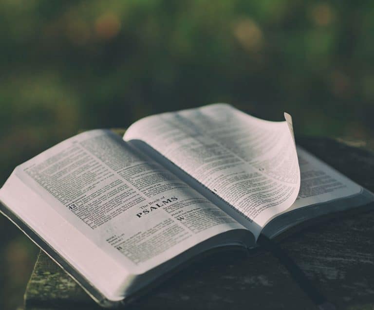 Our Story - Bible Study Guide
