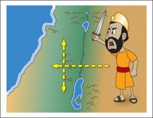 Bible Book Summary Cards - Every Book a Picture - Bible Study Guide