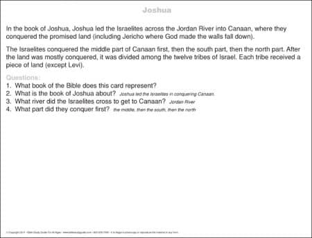 Bible Book Summary Cards - Every Book a Picture - Bible Study Guide